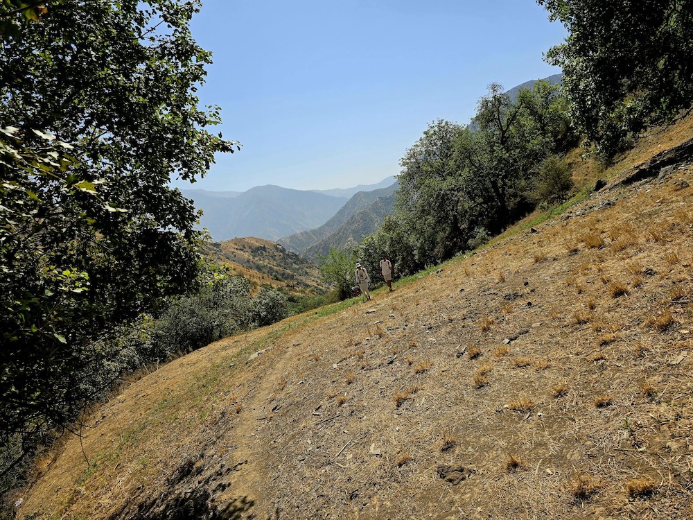 Zimchurud Gorge: Cold Water, Old Walnuts, and a Perfect Summer Escape ...